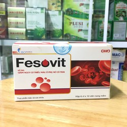 Viên Uống Fesovit, bổ sung sắt, acid folic và vitamin B12 hộp 6 vỉ x 10 ...