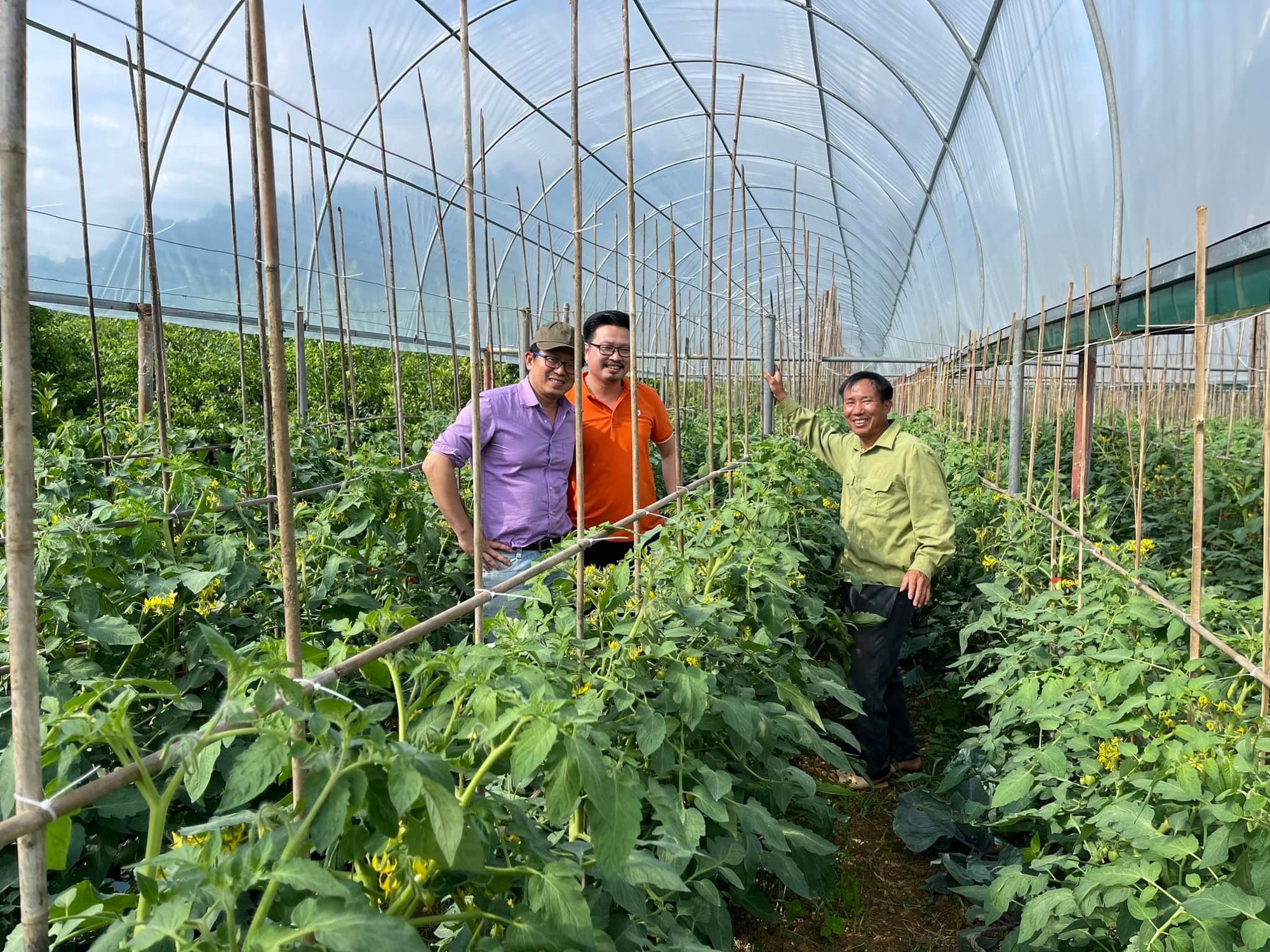 Sendo Farm - Nông sản sạch từ sự tận tâm